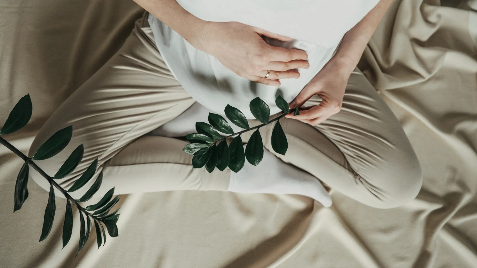 Viitorul este verde: moduri usoare de a adopta un stil de viata mai ...